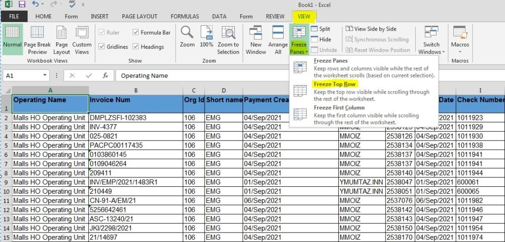 How to Freeze Rows in Excel | Freeze Panes Function in Excel