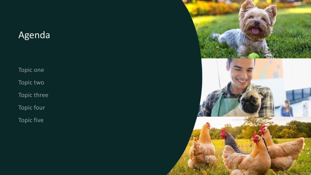 Blob design Presentation Powerpoint Template (.ppt File Download)