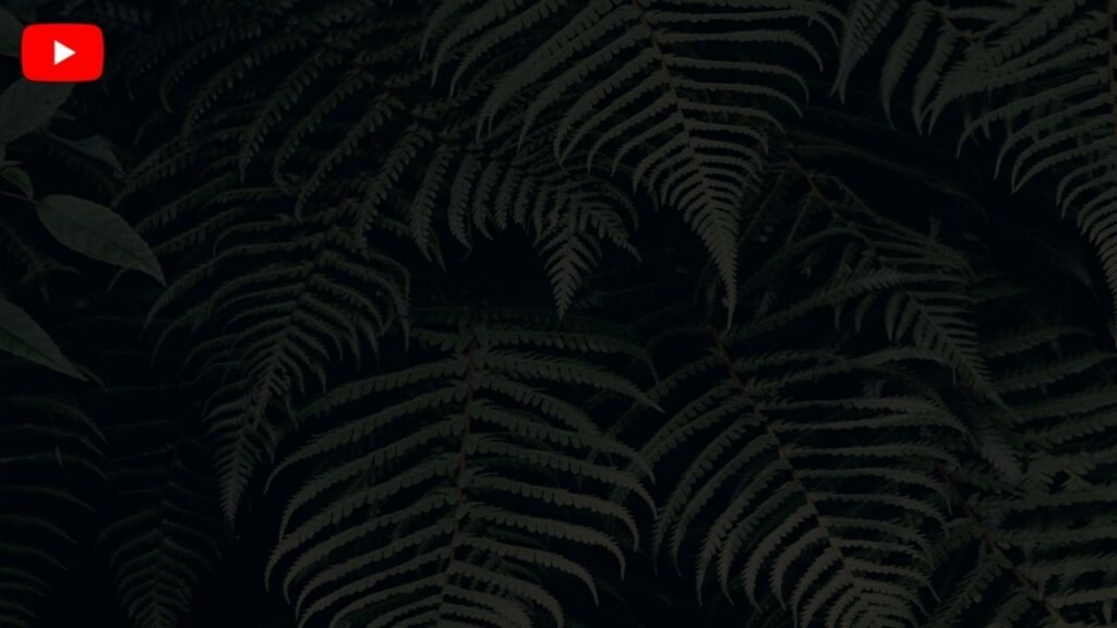 (TOP-50) YouTube Thumbnail Background Latest Full HD [FREE Download]