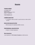 Courier Delivery Boy Resume Sample Format Download In Word
