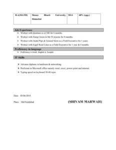 Delivery Driver Resume Format Example Download In Word