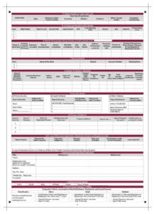 Axis Bank Small Business Banking Application Form Download in PDF