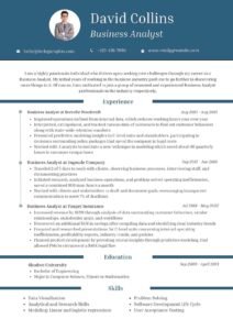 Business Analyst Resume 20 Templates Download in Word (.docx)
