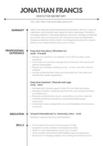 MIS Executive Resume 20 Templates Download in Word (.docx)