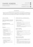 MIS Executive Resume 20 Templates Download in Word (.docx)