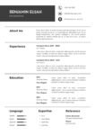 MIS Executive Resume 20 Templates Download in Word (.docx)