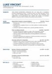 MIS Executive Resume 20 Templates Download in Word (.docx)