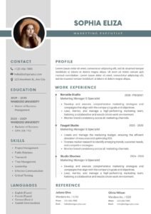 MIS Executive Resume 20 Templates Download in Word (.docx)