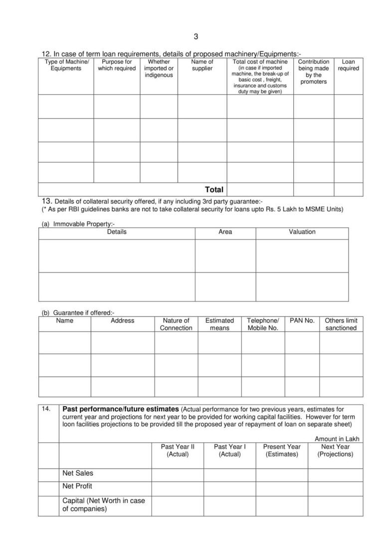 Punjab National Bank MSME Loans Upto 50 Lakh Application Form Download in PDF