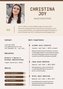 MIS Executive Resume 20 Templates Download in Word (.docx)